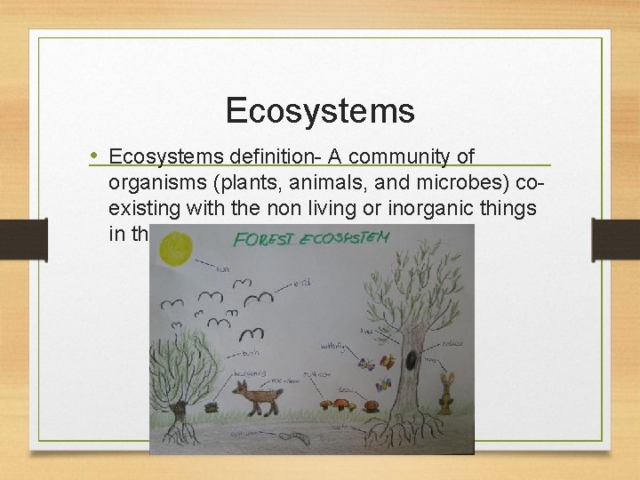 Ecosystems Ecosystems definition A community of organisms plants