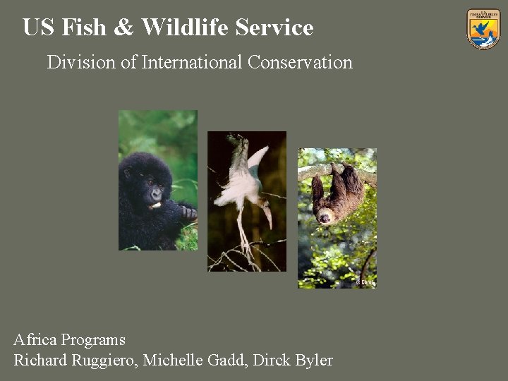 US Fish Wildlife Service Division of International Conservation