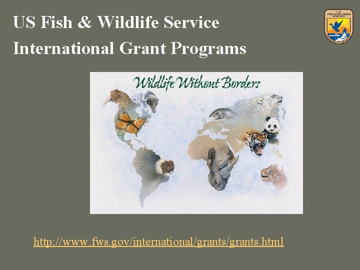 US Fish Wildlife Service Division of International Conservation