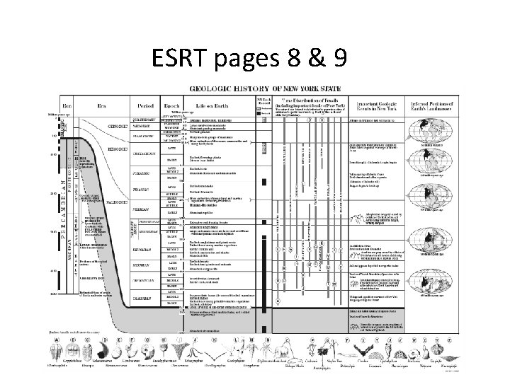 Review Session 6 Geologic History RELATIVE DATING Putting