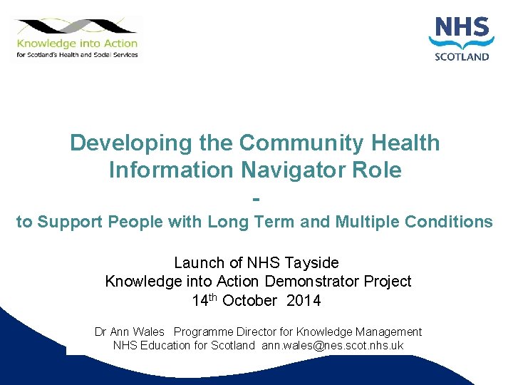 Developing the Community Health Information Navigator Role to