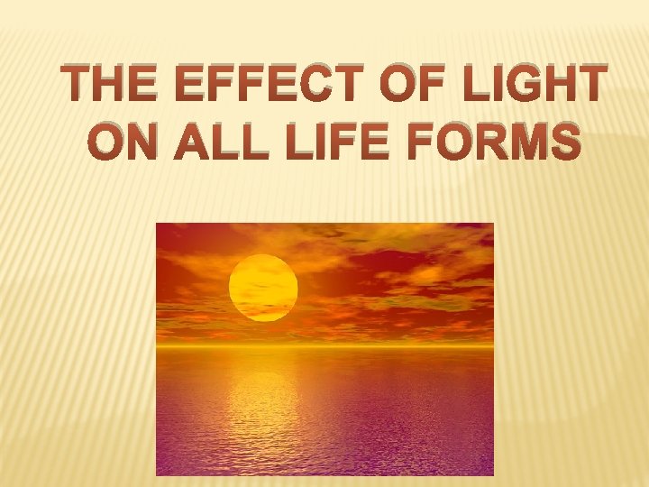 THE EFFECT OF LIGHT ON ALL LIFE FORMS