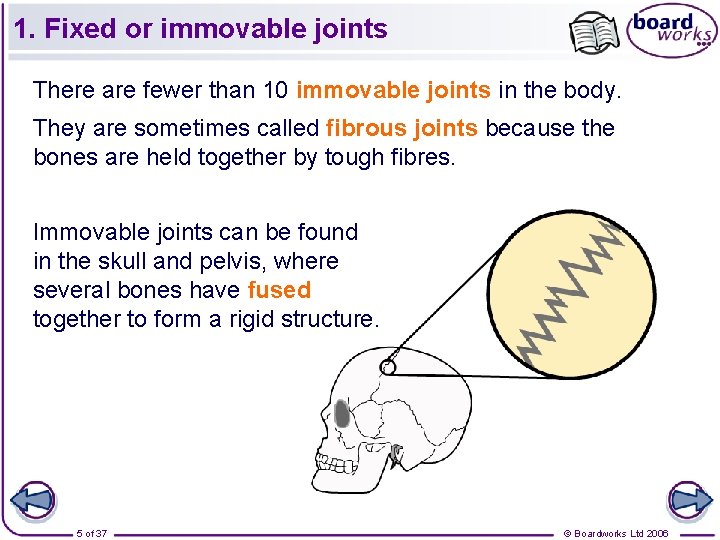 BTEC Sport Joints Tendons and Ligaments These icons
