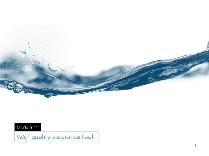 Module 12 WSP quality assurance tool 1 Module