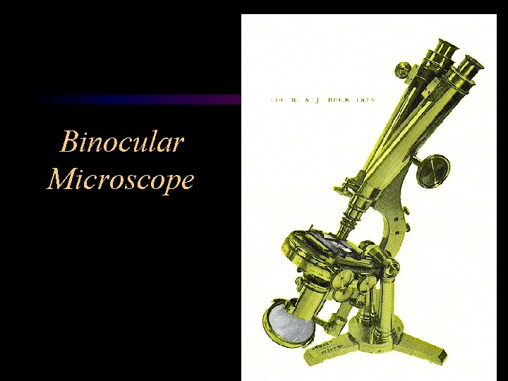 Microscopes Micrographia Robert Hooke 1665 First report of