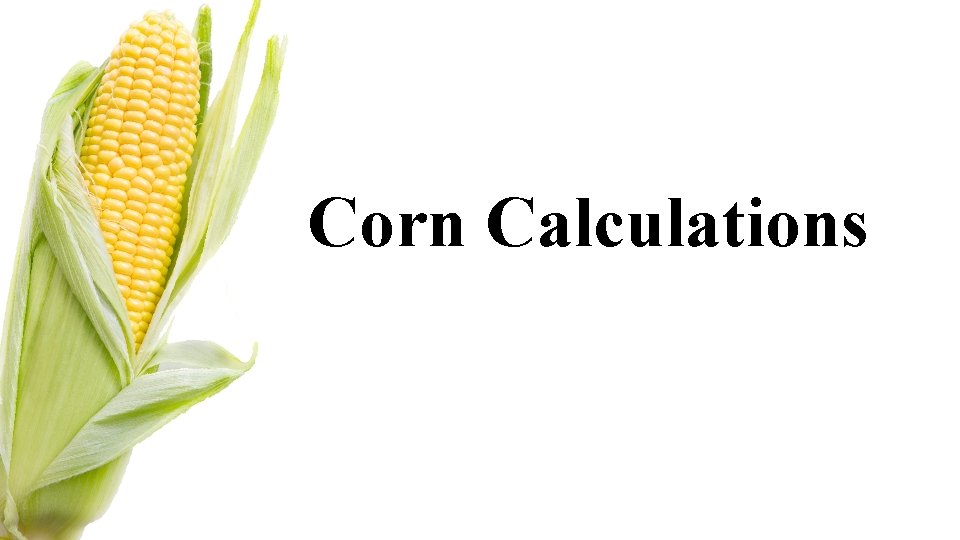 Corn Calculations Discover How to Calculate Mean Median