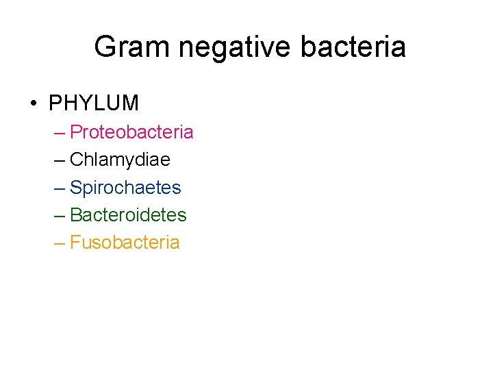 Gram negative bacteria PHYLUM Proteobacteria Chlamydiae Spirochaetes ...