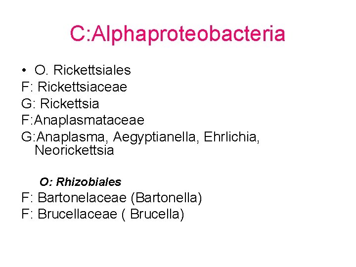Gram negative bacteria PHYLUM Proteobacteria Chlamydiae Spirochaetes ...