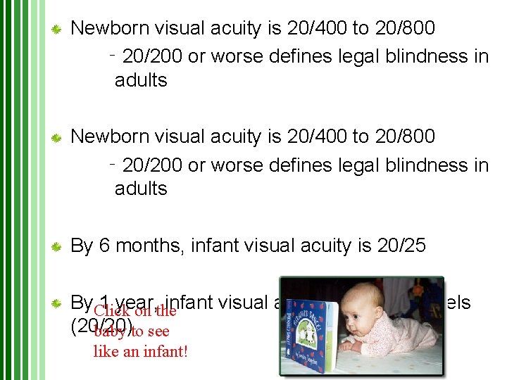 Perceptual Development Chapter 5 OBJECTIVES What senses do