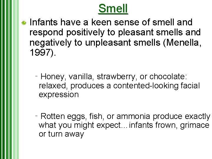 Perceptual Development Chapter 5 OBJECTIVES What senses do