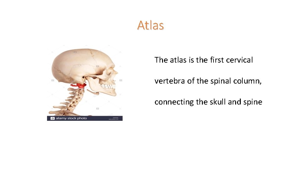 Medical Eponyms of Greek and Roman Mythological Origin