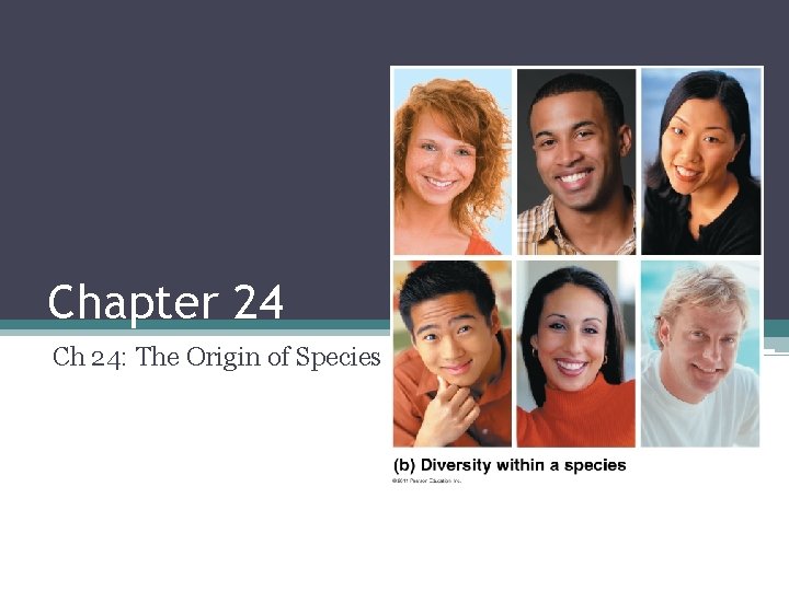 Chapter 24 Ch 24 The Origin of Species