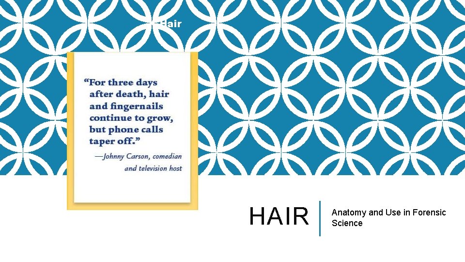 Hair HAIR Anatomy and Use in Forensic Science