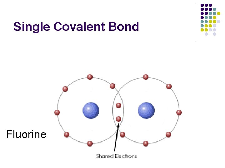 Types of Covalent Bonds Rules for Writing Lewis
