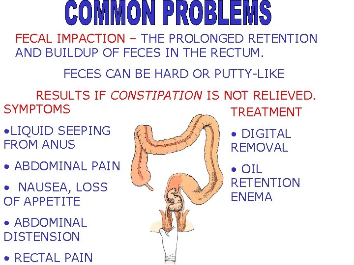 MOUTH ESOPHAGUS LIVER GALL BLADDER STOMACH PANCREAS SMALL