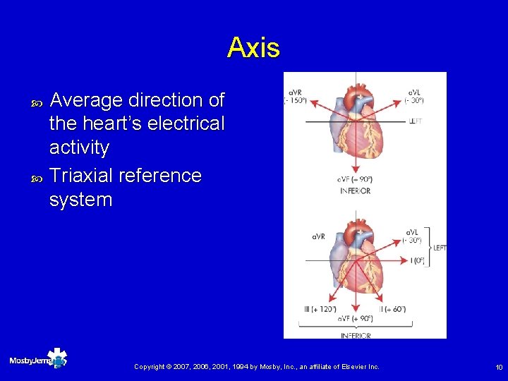 Coronary Arteries Supply arterial blood to heart muscle