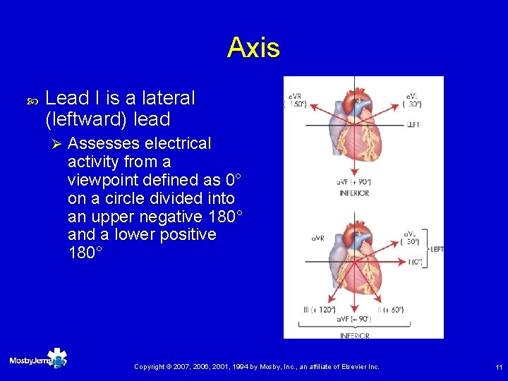 Coronary Arteries Supply arterial blood to heart muscle