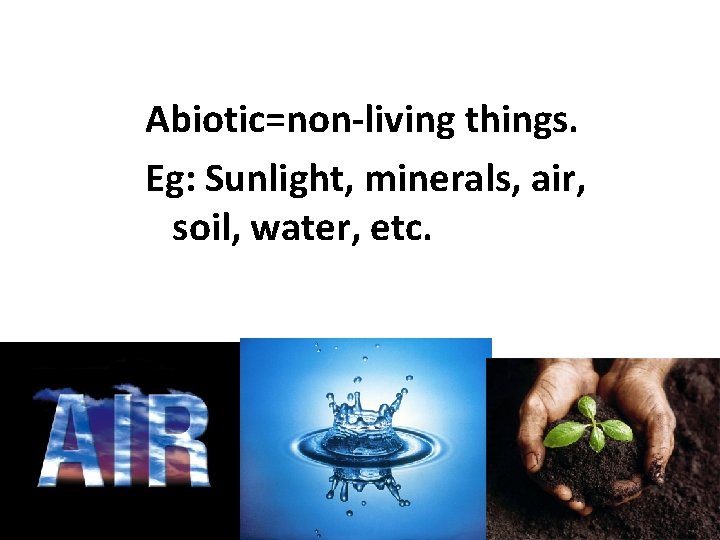 BioticLiving things Eg Humans animals trees fish flowers