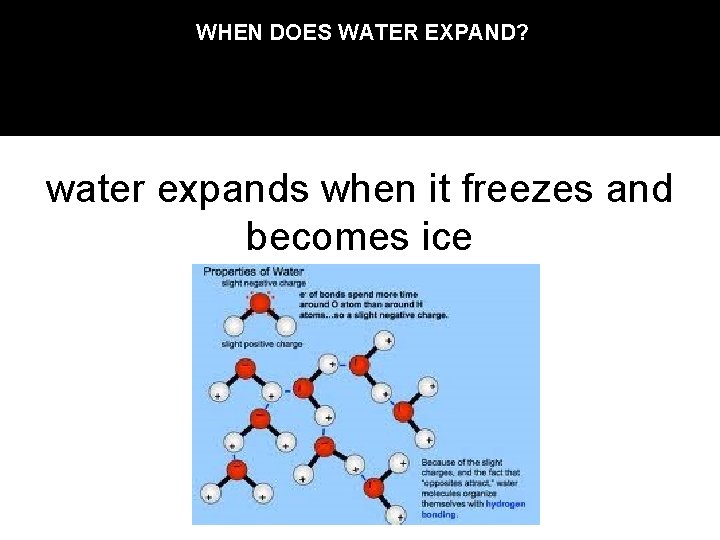 WATER CARBON CHEMISTRY MACROMOLECULES AND ENZYMES REVIEW HOW
