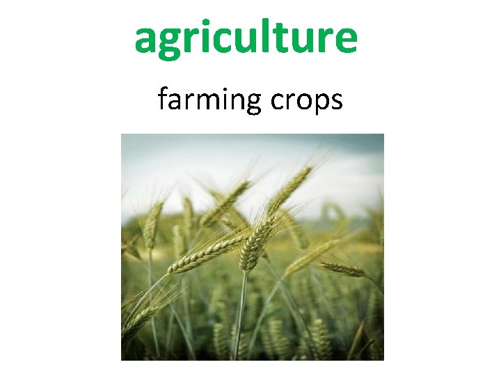 Word Scramble Building vocabulary for our geography unit