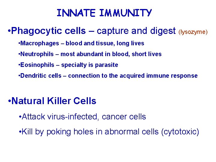 CH 24 The Immune System The immune systems