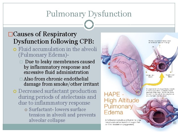 The Effects of CPB COOPER UNIVERSITY HOSPITAL SCHOOL