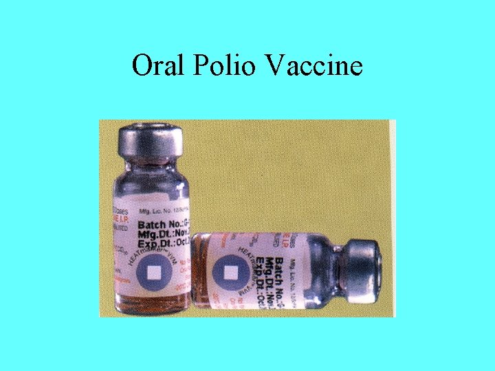 Bharat Immunologicals Biologicals Corporation Ltd BIBCOL Village Chola