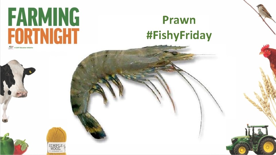 Bass Fishy Friday Cod Fishy Friday Crab Fishy