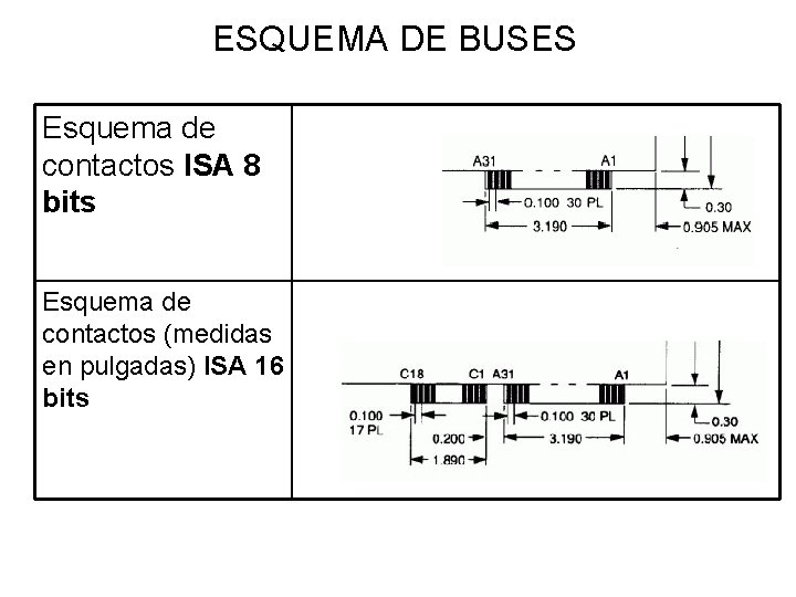 BUS Representacin esquemtica de una placabase BUS El