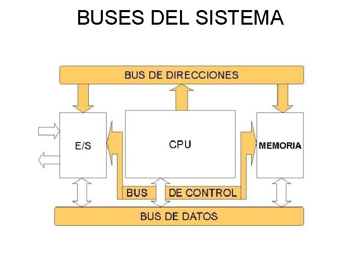 BUS Representacin esquemtica de una placabase BUS El