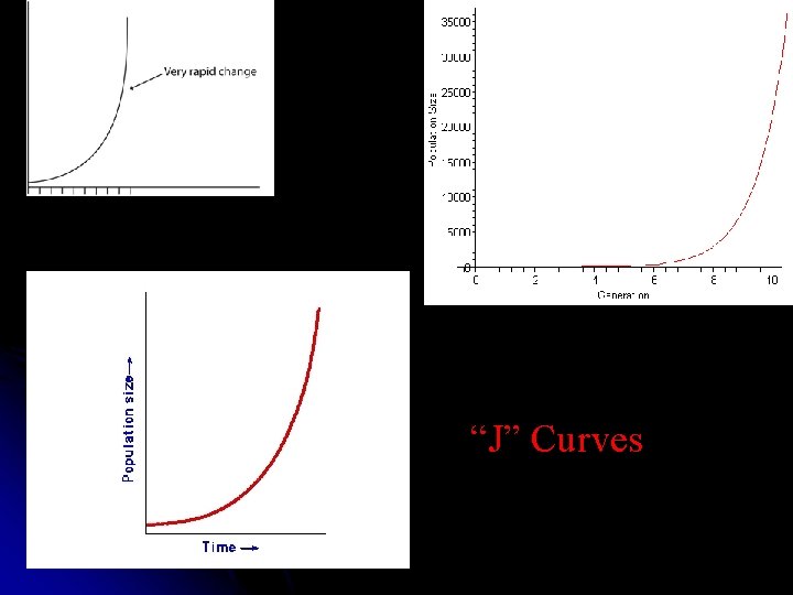 Ecology Unit Populations Vocabulary Chapter 5 Chapter 6