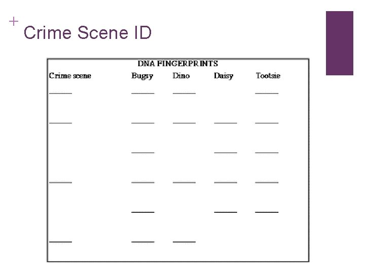 Human protein production Transgenic organisms RFLP analysis Human