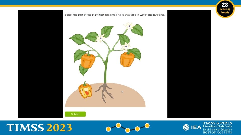 Developing TIMSS 2023 Achievement Items for a Digital