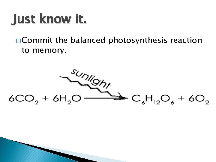 Photosynthesis Do Now Complete the diagram below balance