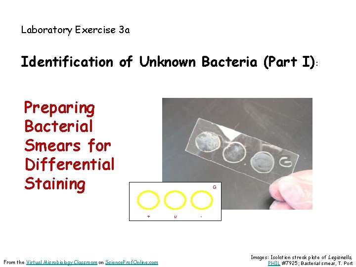 About Science Prof Online Power Point Resources Science