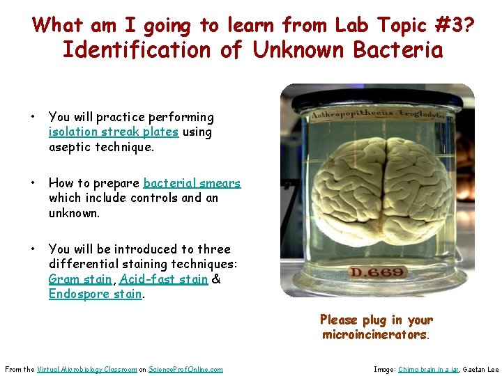 About Science Prof Online Power Point Resources Science