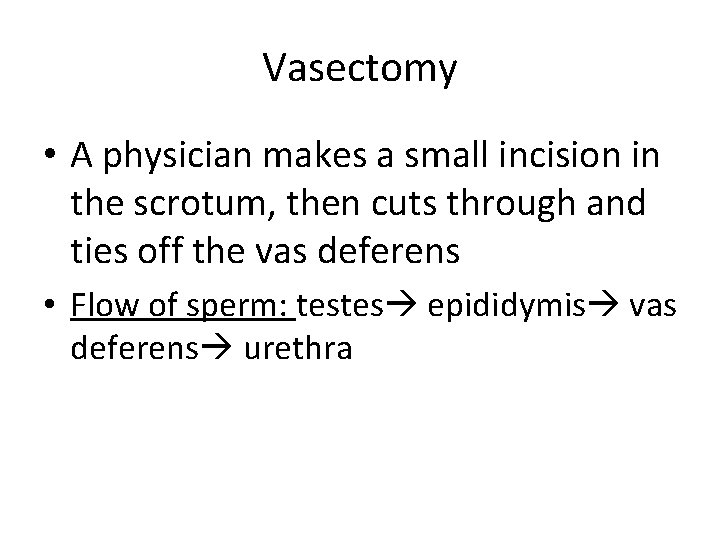 Human Reproduction and Development Human Male Reproductive System