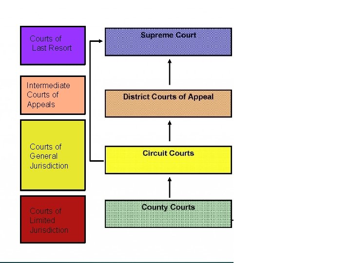 The State Judicial Branch Lower State Courts Most