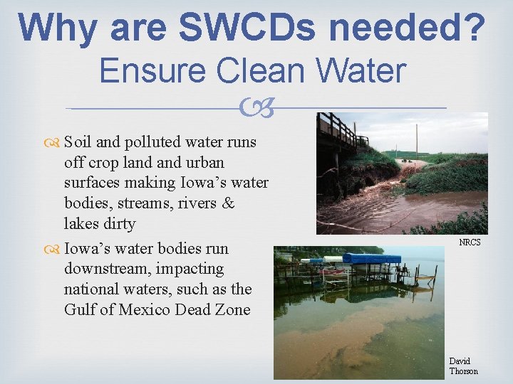 Soil Water Conservation District SWCD Insert District Logo