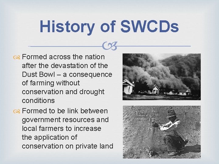 Soil Water Conservation District SWCD Insert District Logo