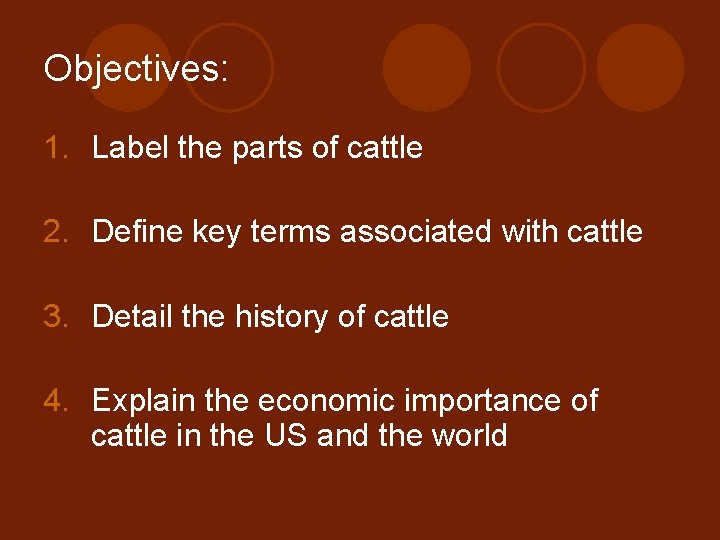 Beef and Dairy Cattle Objectives 1 Label the