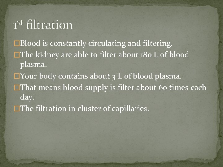 Excretory System By Jared J De Hoyos Rivera