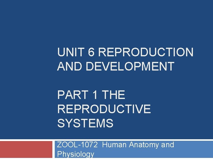 UNIT 6 REPRODUCTION AND DEVELOPMENT PART 1 THE