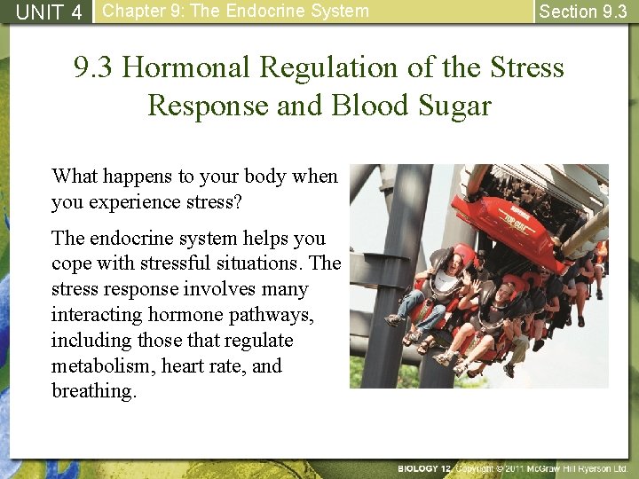 UNIT 4 Chapter 9 The Endocrine System Section