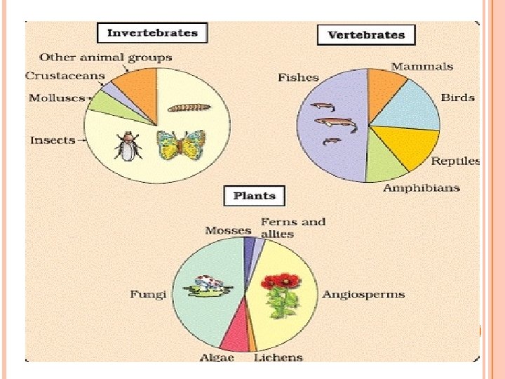 BIODIVERSITY Father of biodiversity is the sociobiologist Edward