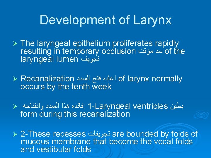DEVELOPMENT OF LARYNX TRACHEA AND BRONCHI Dr Mujahid