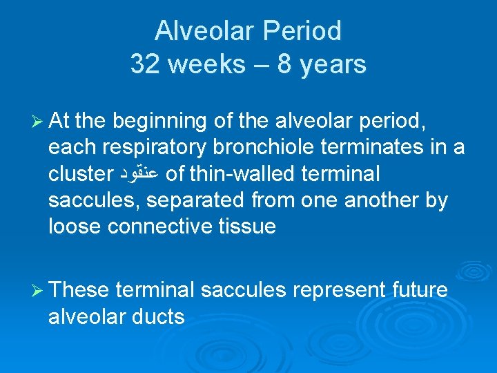 DEVELOPMENT OF LARYNX TRACHEA AND BRONCHI Dr Mujahid