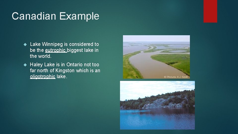 Lakes and Ponds KAYDEN LITZENBERGER AND JOSH HICKS