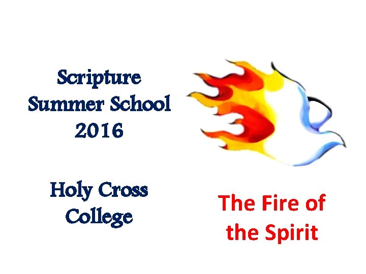 Scripture Summer School 2016 Holy Cross College The