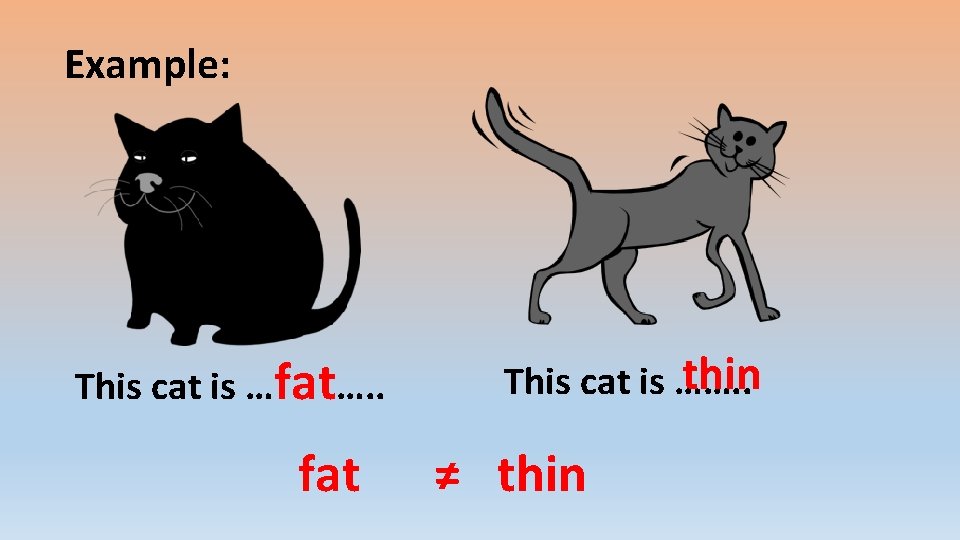 Describing people objects and animals Lets find out